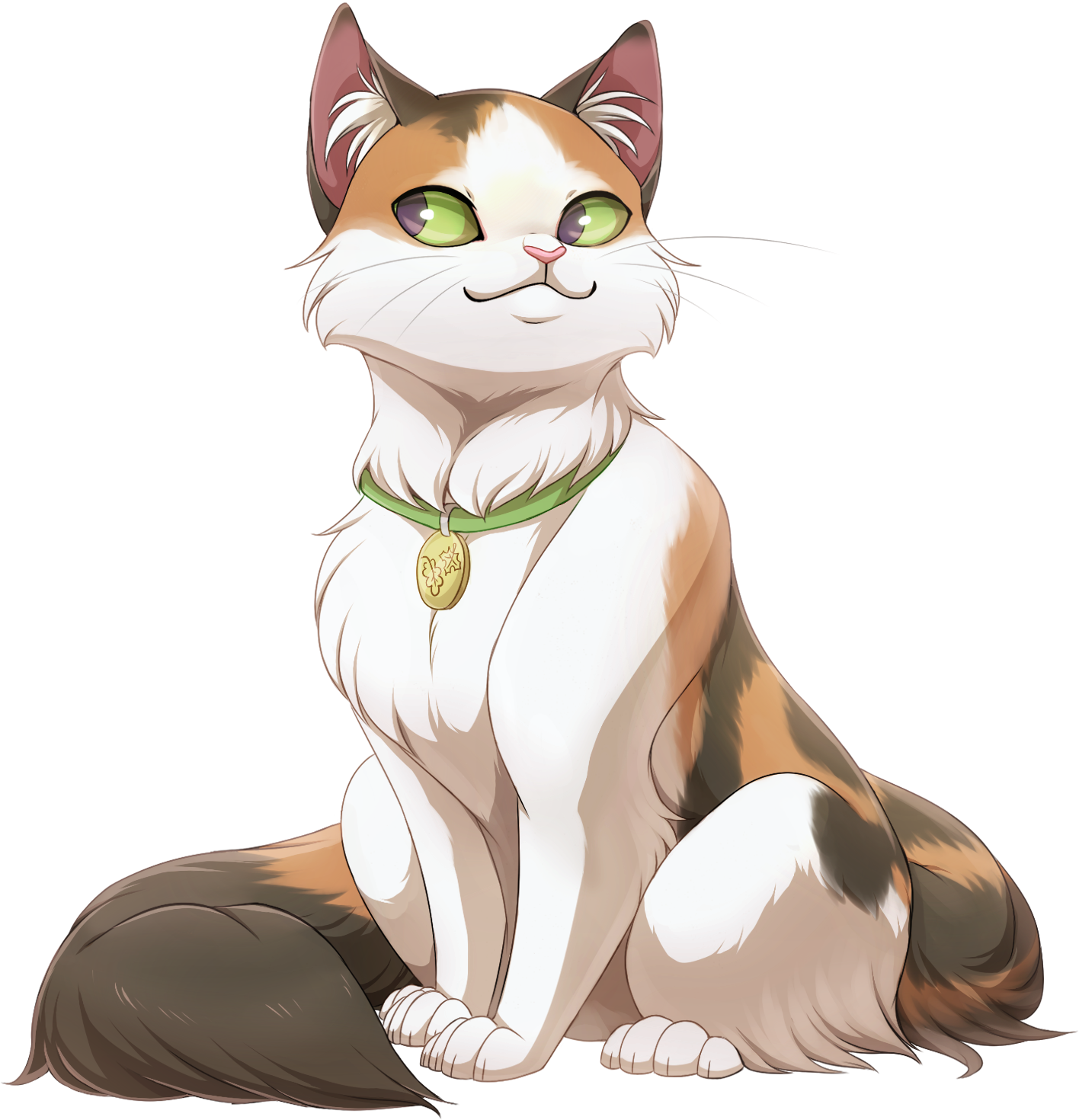 Ragdolls 101 | Oregon Ragdolls